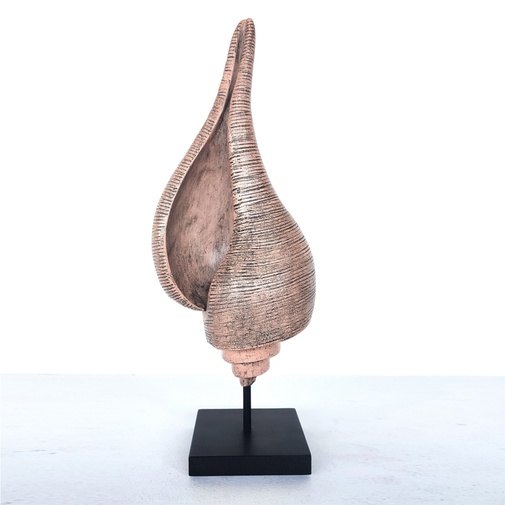 Wooden Sea Shell Sculpture – masterarts.co.in
